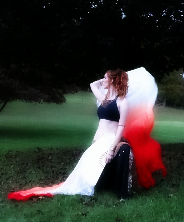 Saphera Belly Dance | Belly Dance Performances and Instruction in West ...